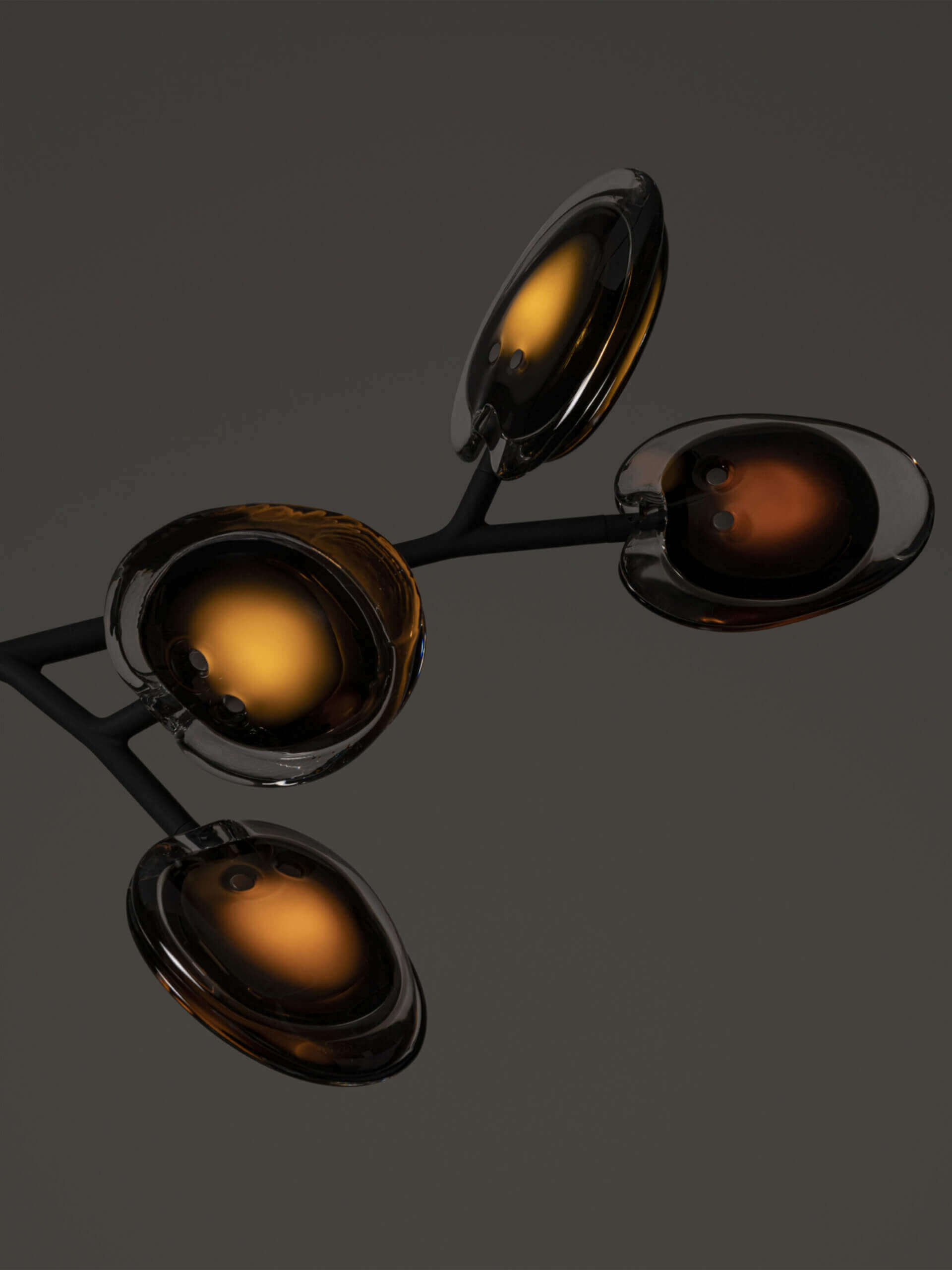 16 Armature Ceiling Lamp by Bocci | Cassoni
