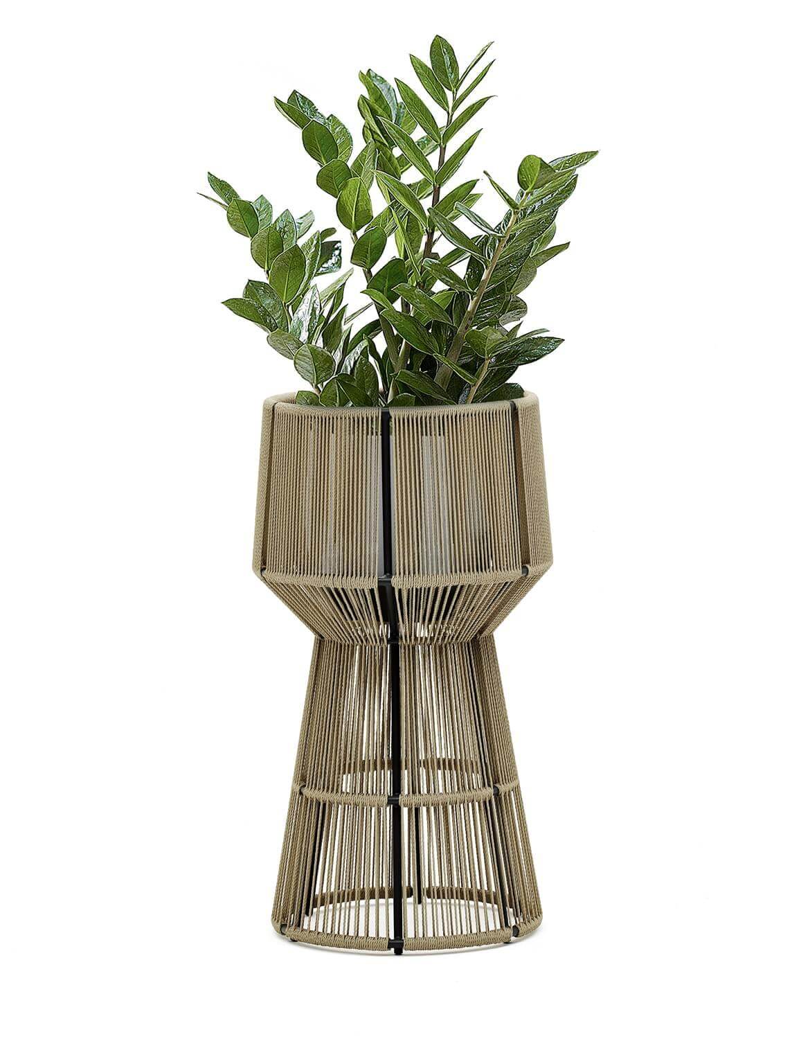 Cricket Planter by Varaschin | Cassoni