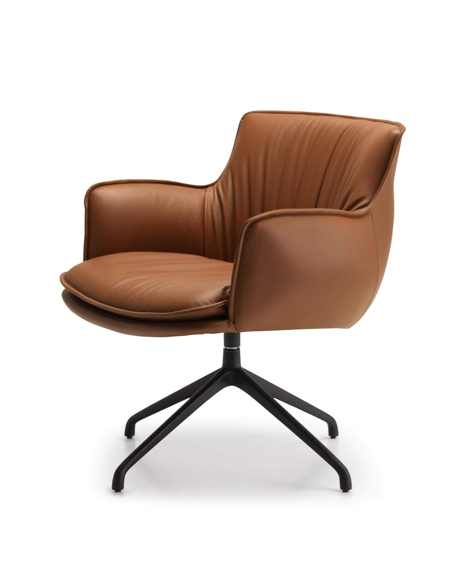 Rhonda Lounge Chair by Cattelan Italia | Cassoni