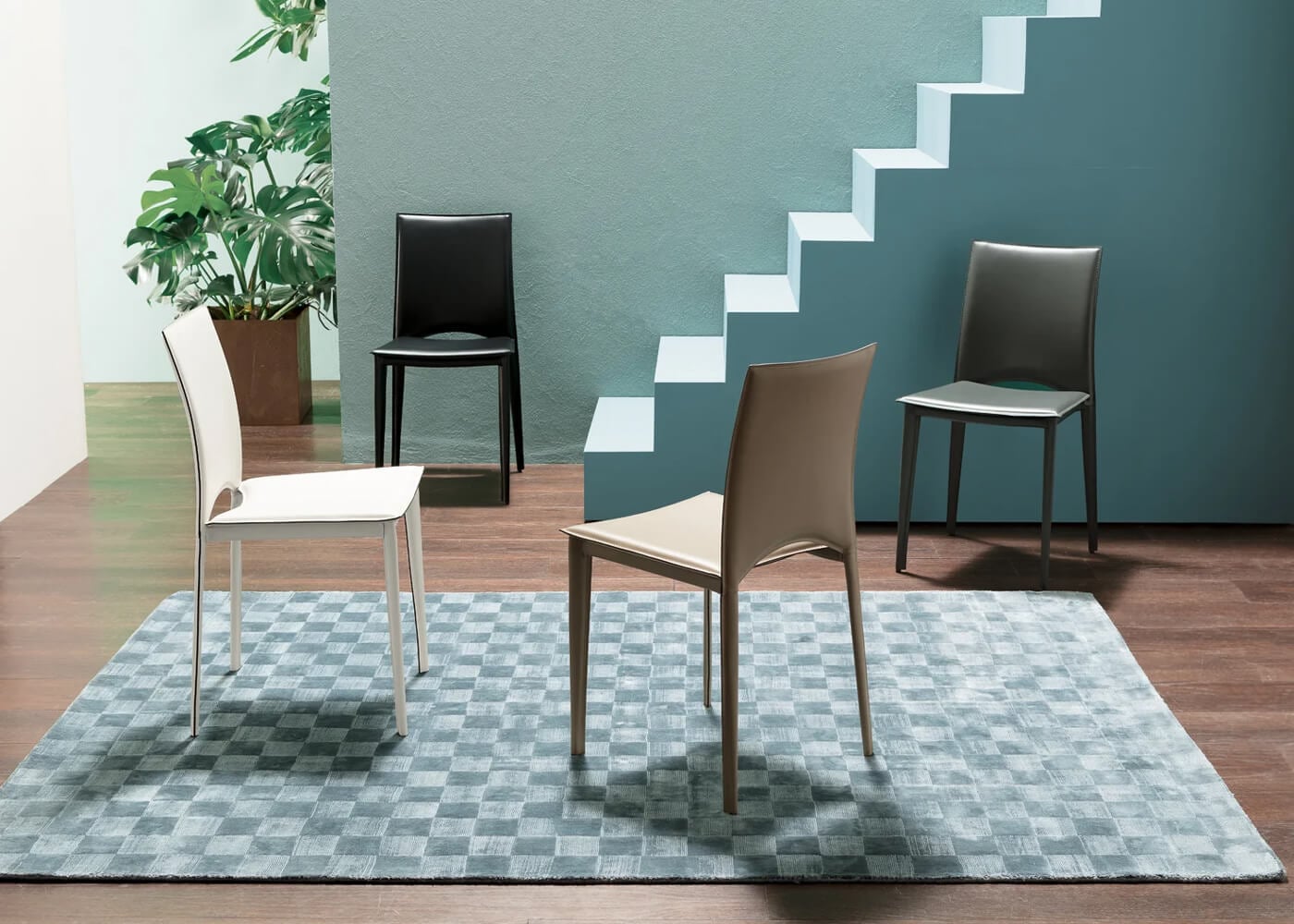 Viva Chair by Ozzio Italia | Cassoni