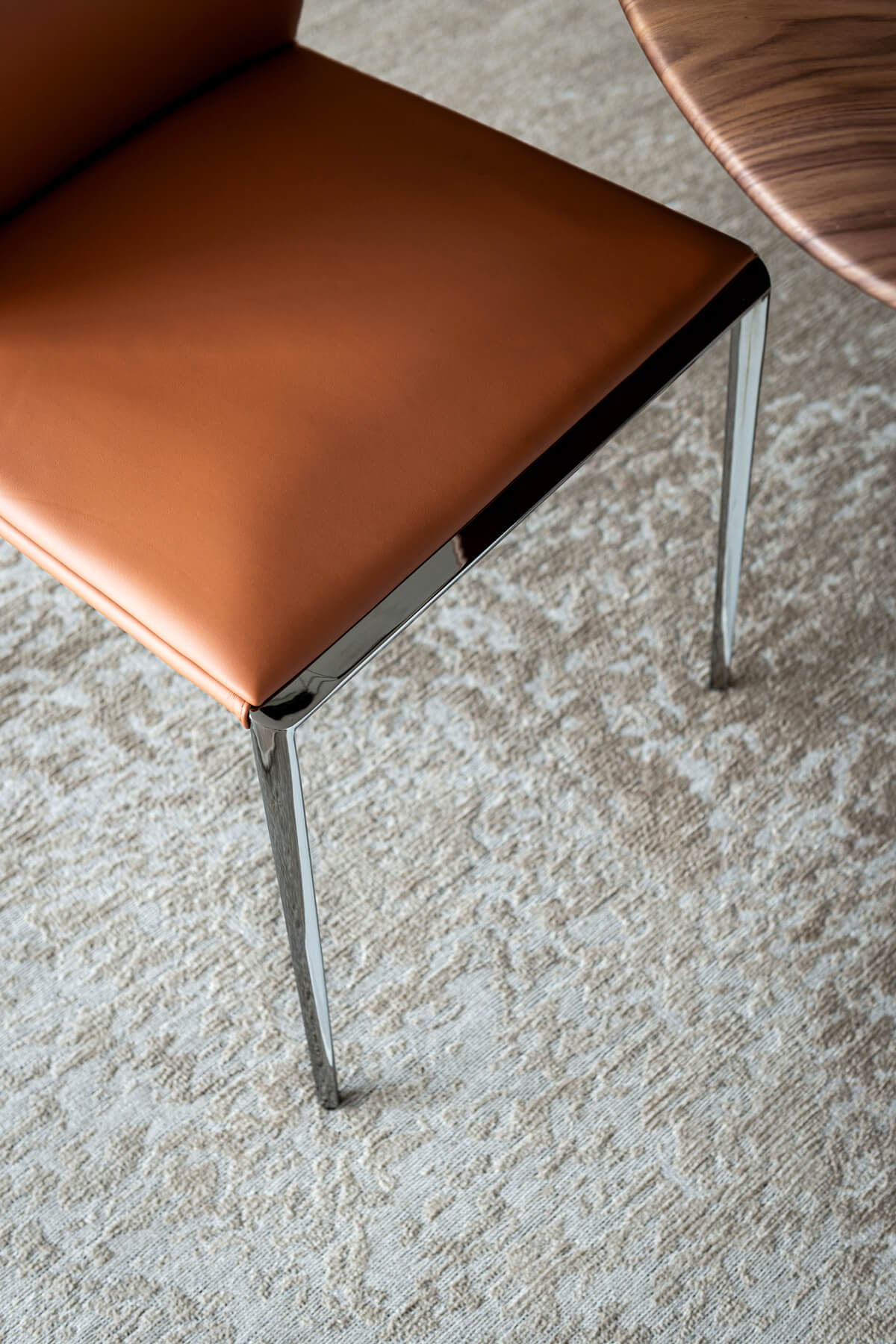 Eva Chair by Cattelan Italia | Cassoni