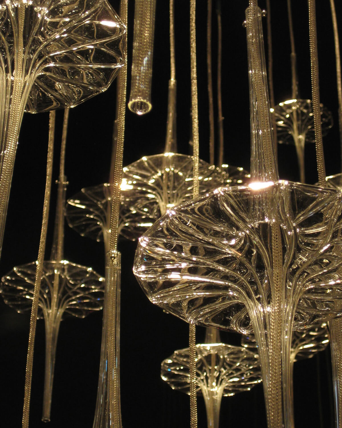 Hydra - Datura Suspension Lamp by melogranoblu | Cassoni