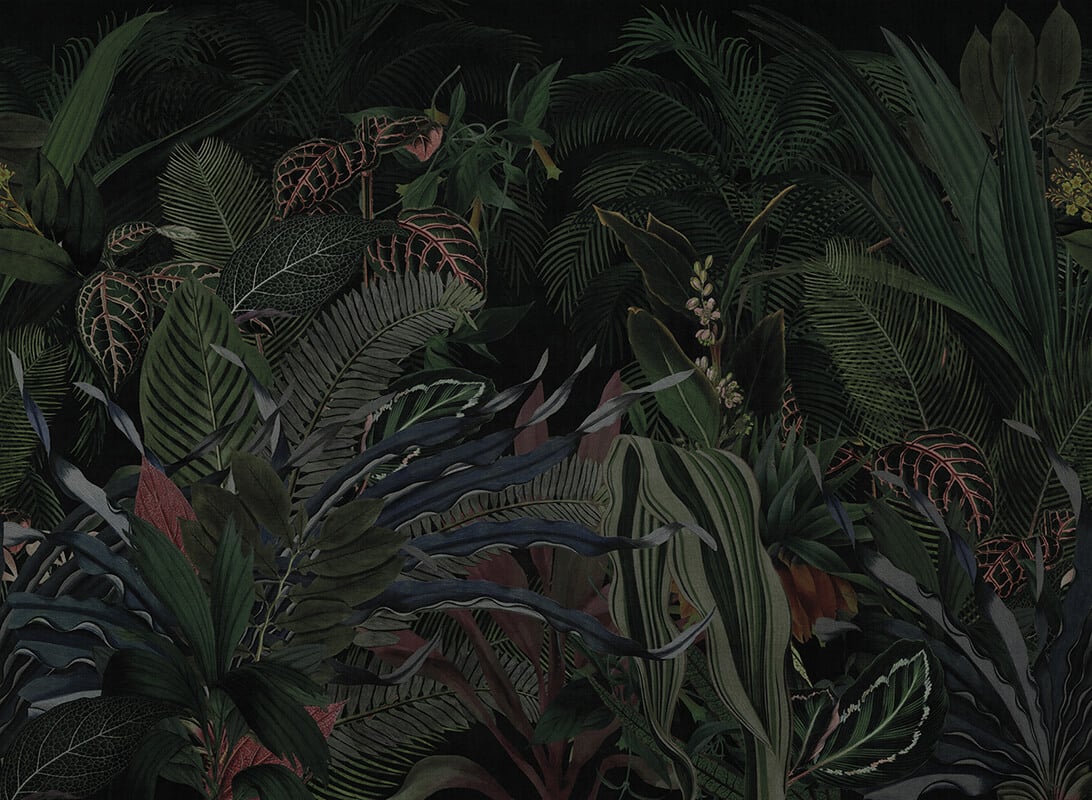 Lost Paradise Wallpaper — Cassoni