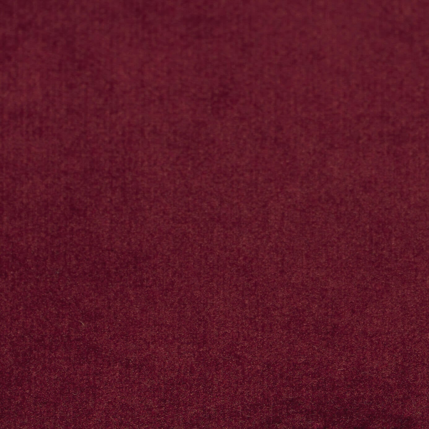 Refined Queen Chair - Metal - Italian Designer; Luxury Furniture at Cassoni