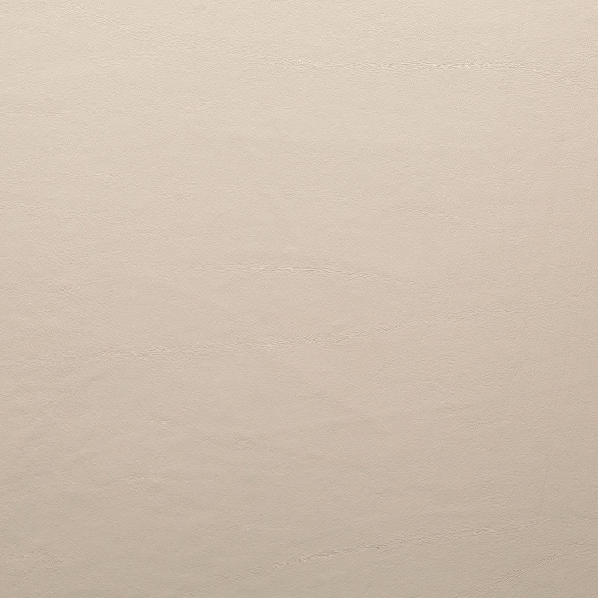 Regina Lounge Chair by Borzalino | Cassoni