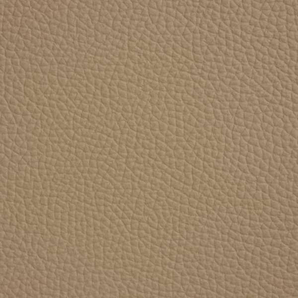 Norma Chair by Cattelan Italia | Cassoni