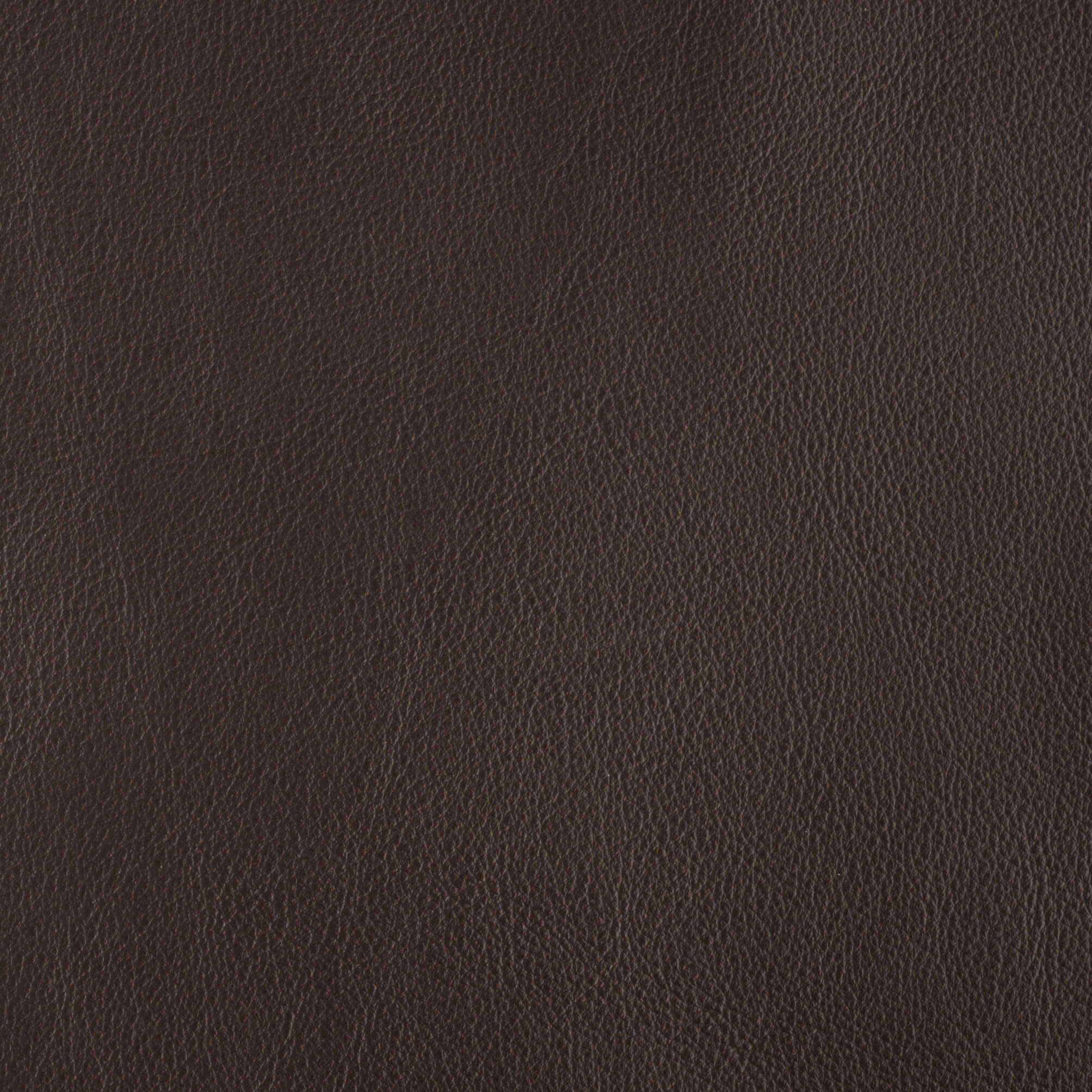 Jamiro Lounge Chair by Cierre1972 | Cassoni