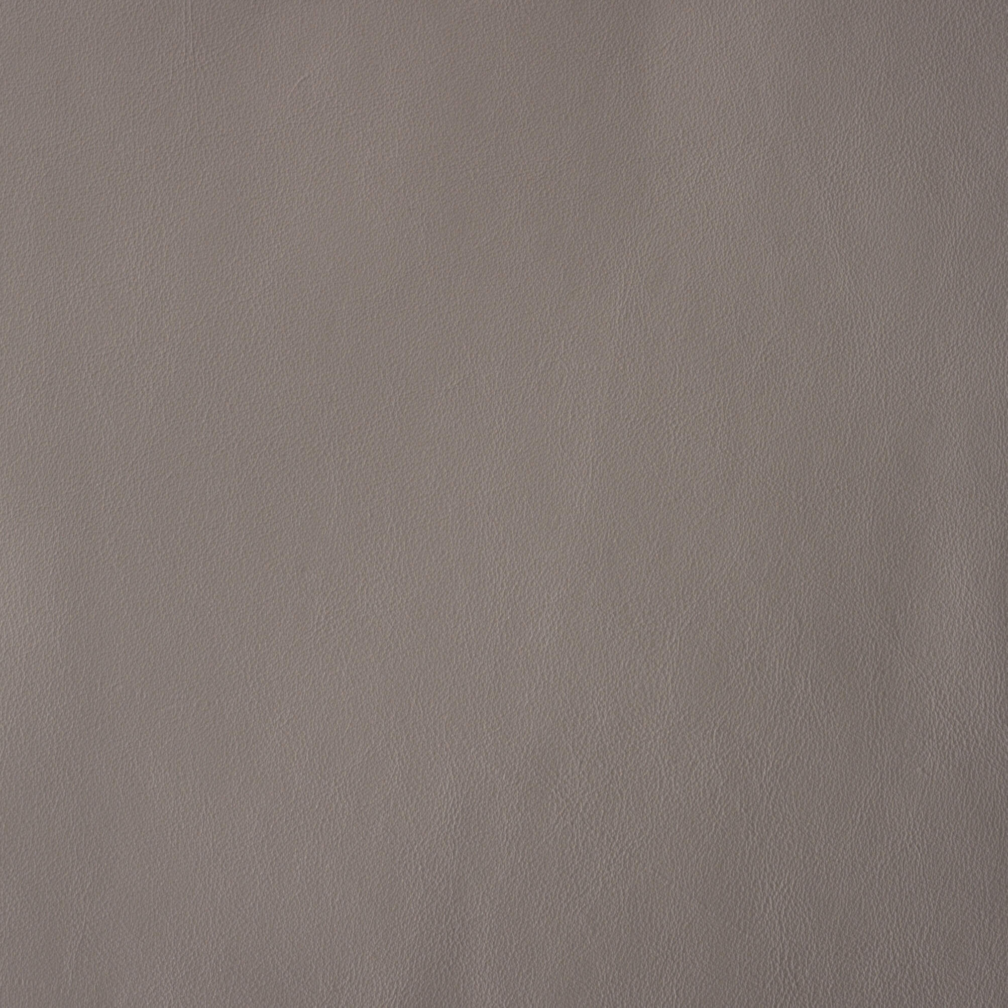 Jamiro Lounge Chair by Cierre1972 | Cassoni